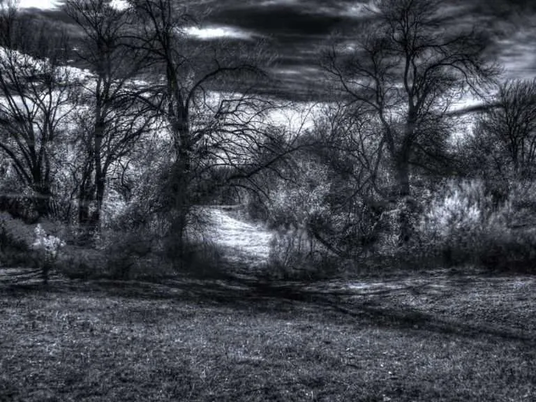 Monochrome Vs. Color Cameras: What’s The Difference? | Supertek